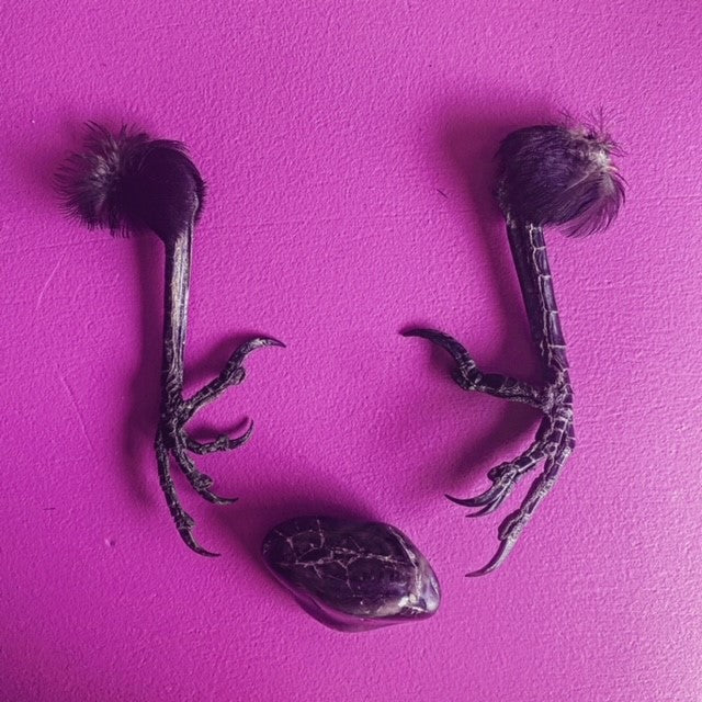 SPELL MENU – The Crow's Nest